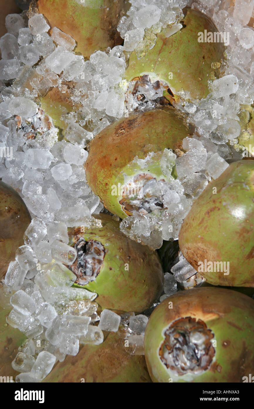 Notting hill carnival food crowds hi-res stock photography and images ...