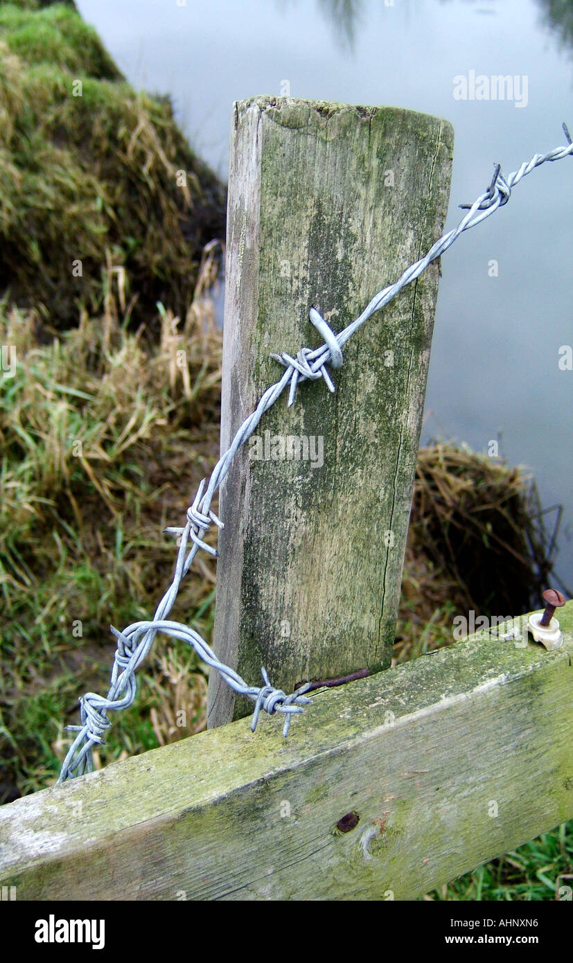 barbed wire on fence post Stock Photo - Alamy