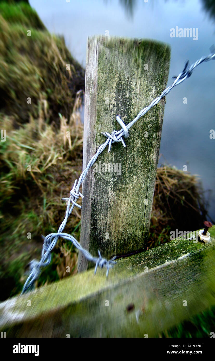 barbed wire on fence post Stock Photo - Alamy