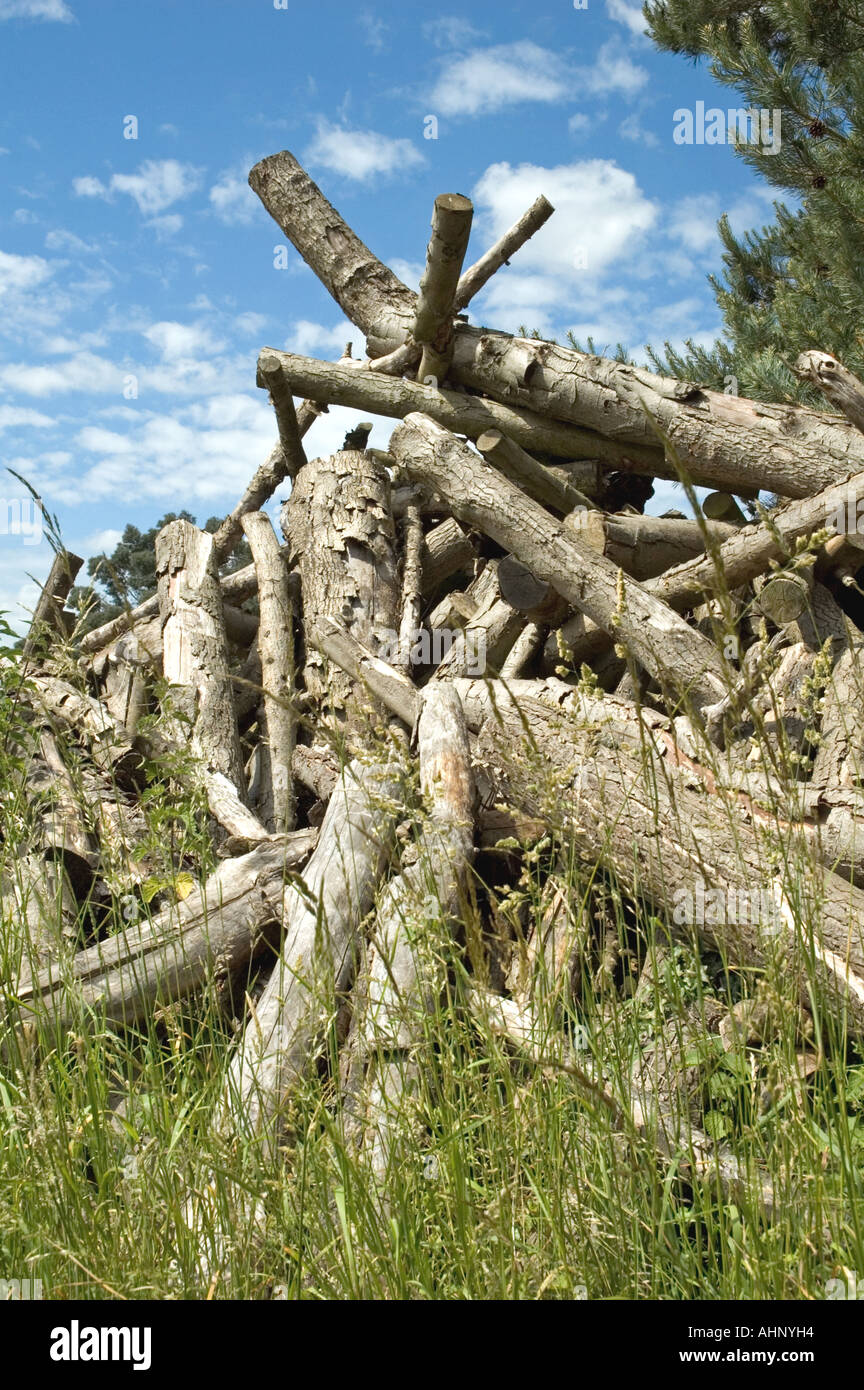 A large pile of logs in rural Suffolk a useful habitat for the local ...
