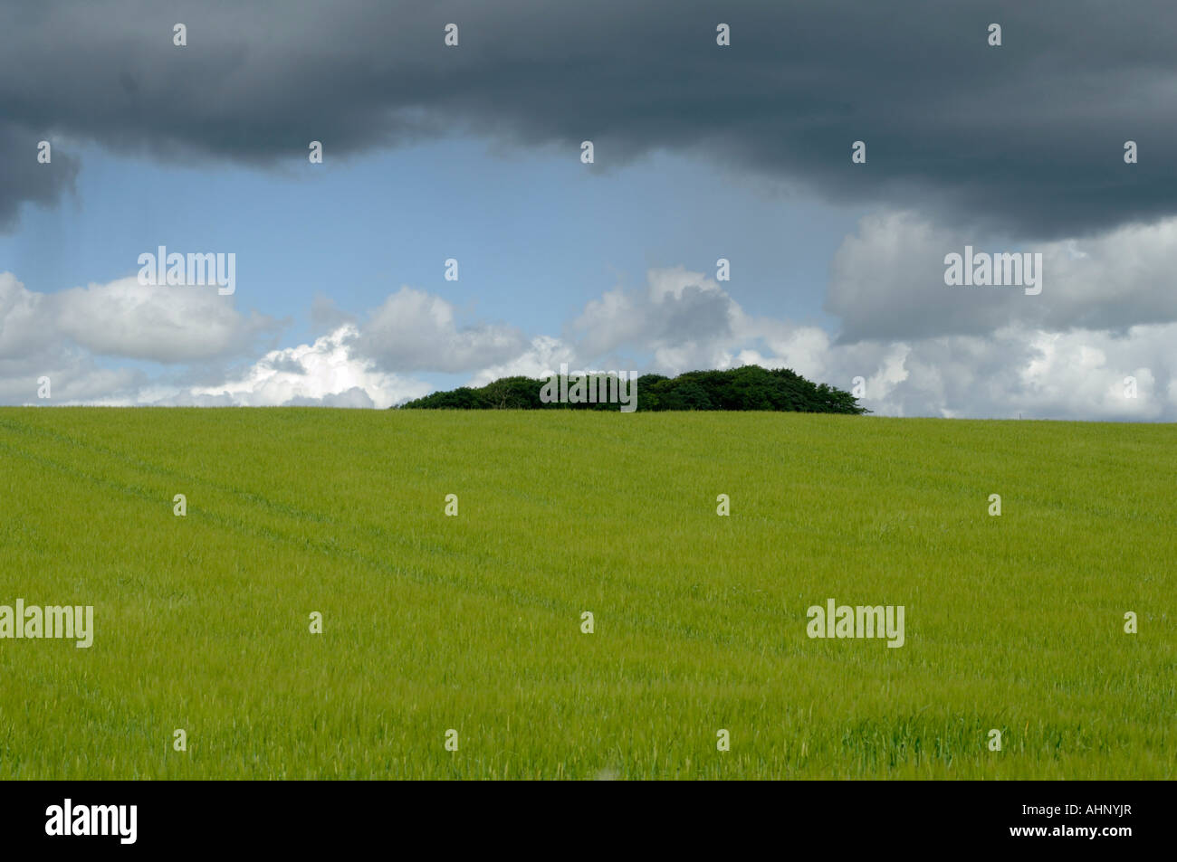 A green field on a hill near Glenrothes in Fife Stock Photo - Alamy