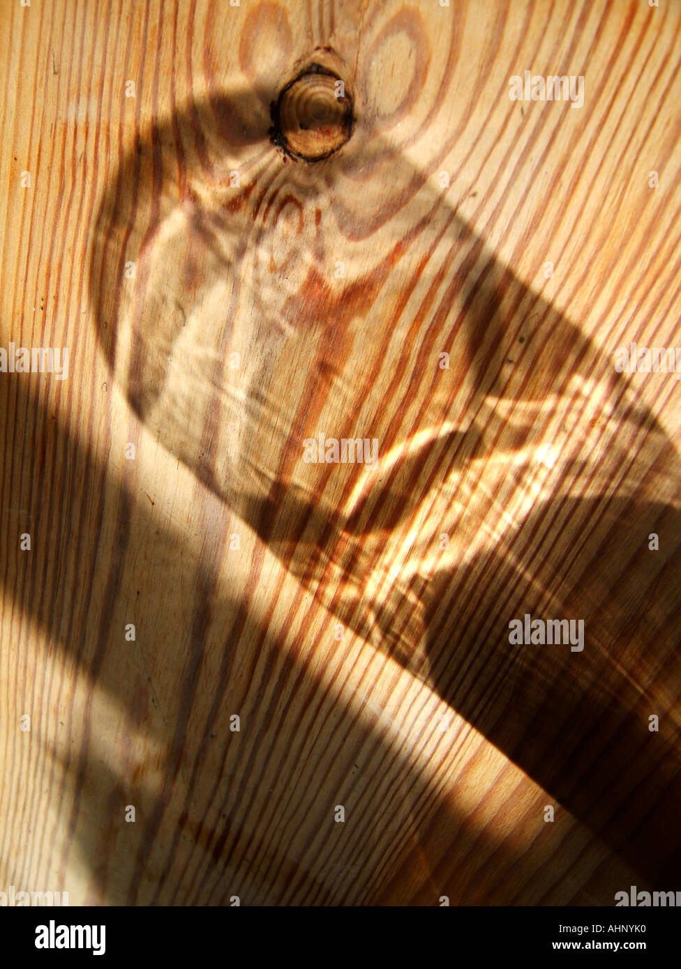 backlit shadow of beer glass Stock Photo - Alamy