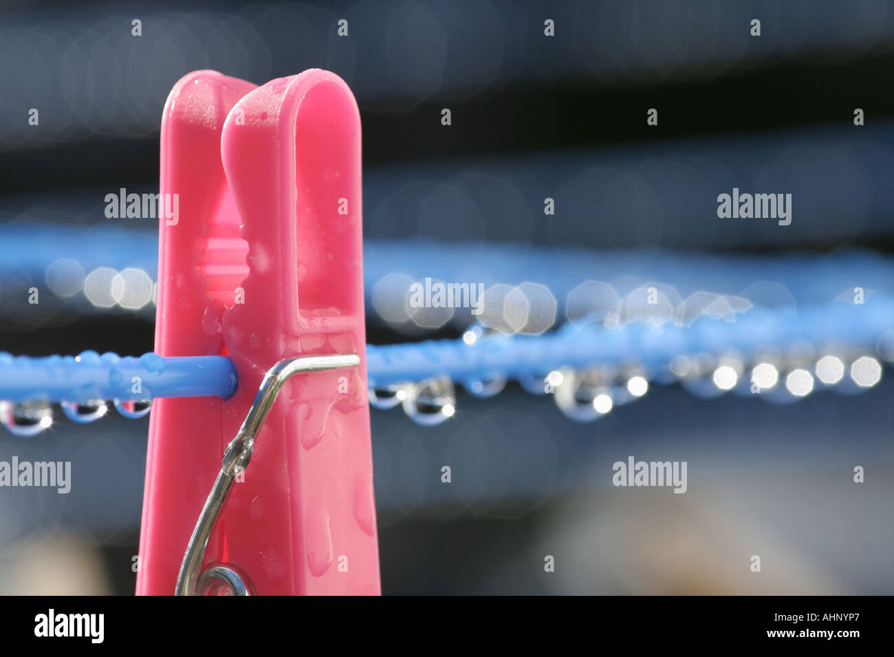 Peg on Washing Line Stock Photo - Alamy