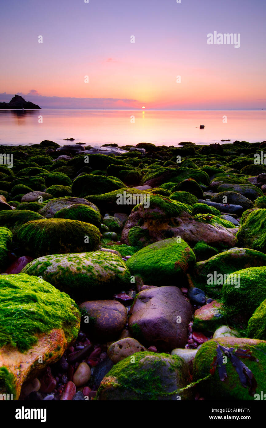 The rocky foreshore of Ansteys Cove near Torquay South Devon at sunrise ...