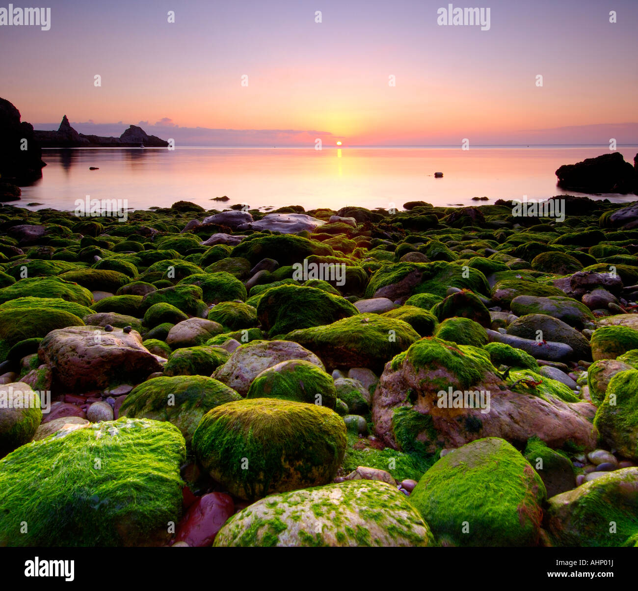 The rocky foreshore of Ansteys Cove near Torquay South Devon at sunrise ...