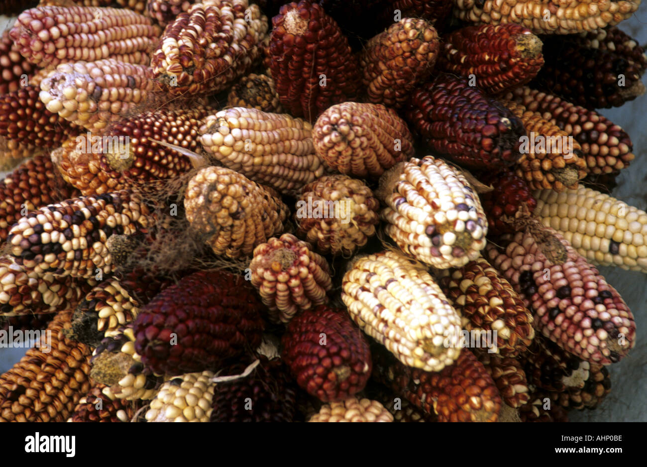 Peru Andes South America Latin America agriculture Stock Photo - Alamy