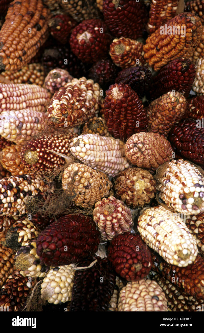 Peru Andes South America Latin America agriculture Stock Photo - Alamy