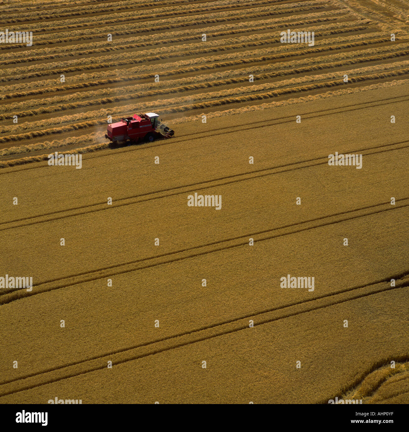 Aerial harvesting maize corn combine hi-res stock photography and ...