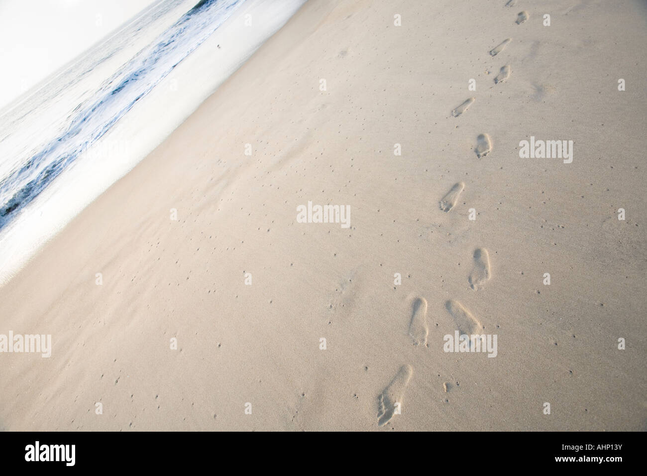 Footprints in the sand by the ocean shore Stock Photo - Alamy