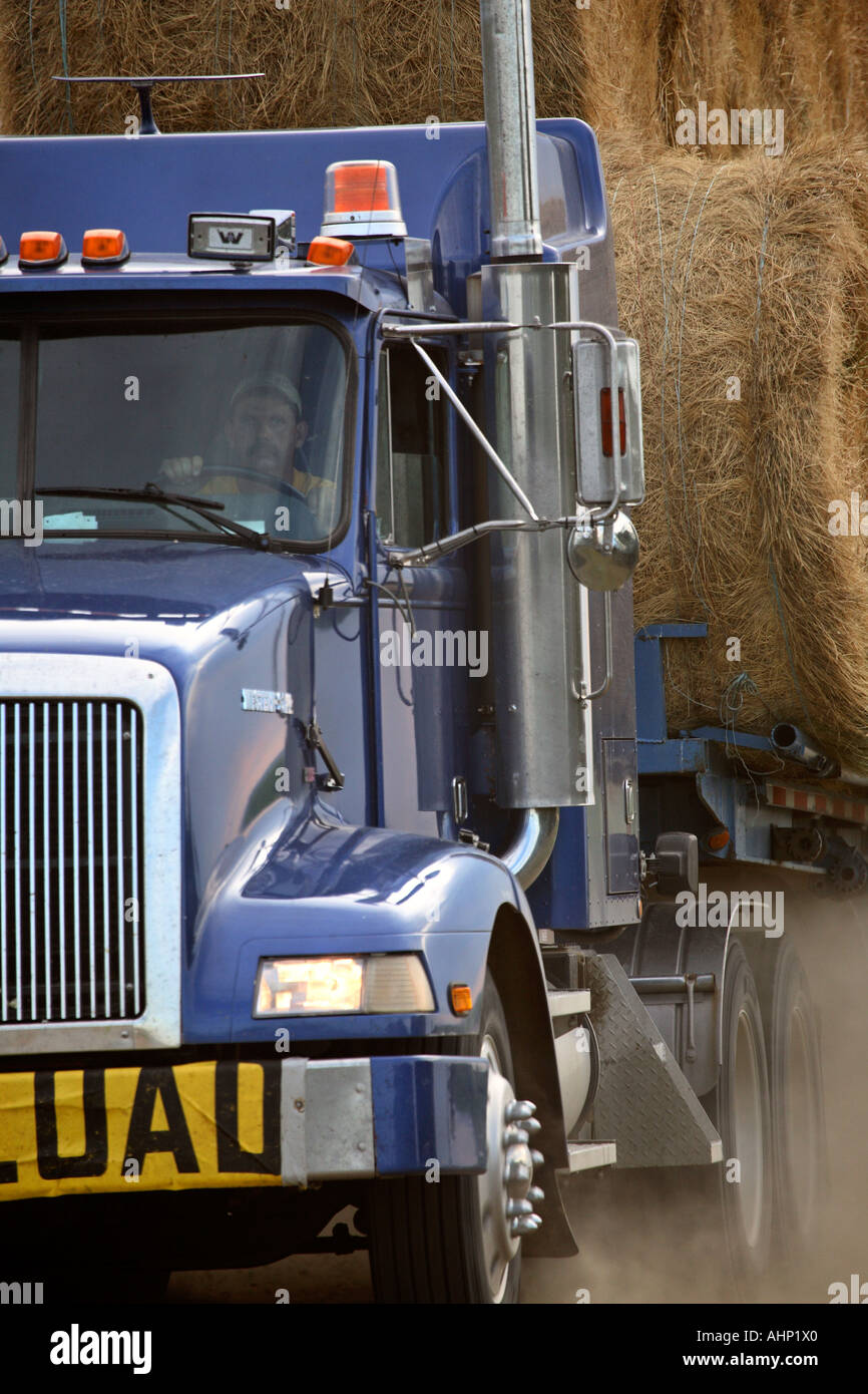 Semi trailer with hay bales hi-res stock photography and images - Alamy