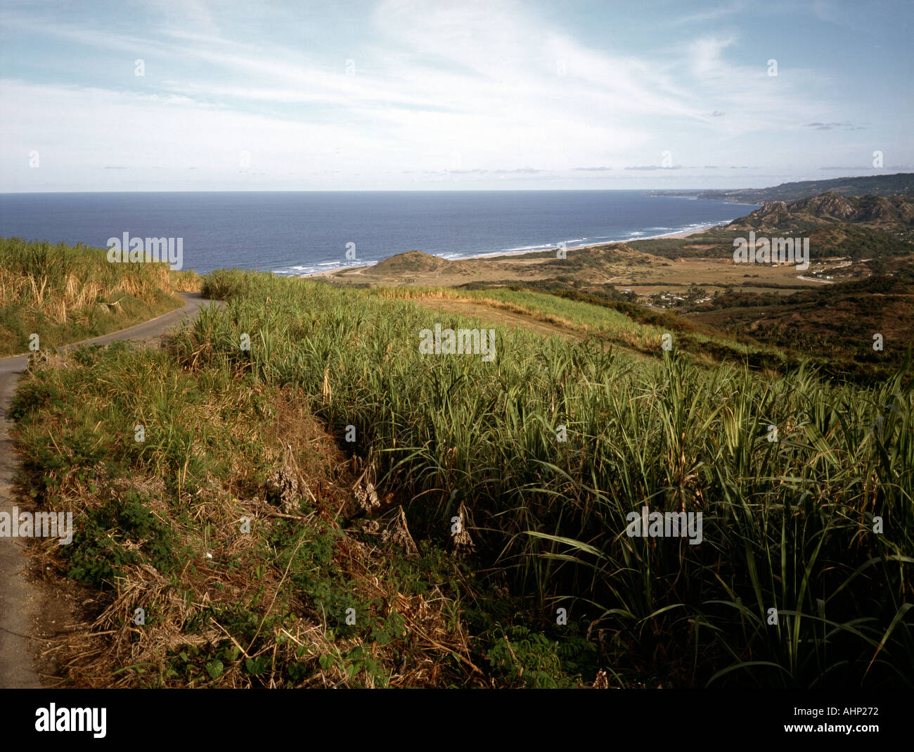 Barbados West Coast from Cherry Tree Hill Stock Photo - Alamy