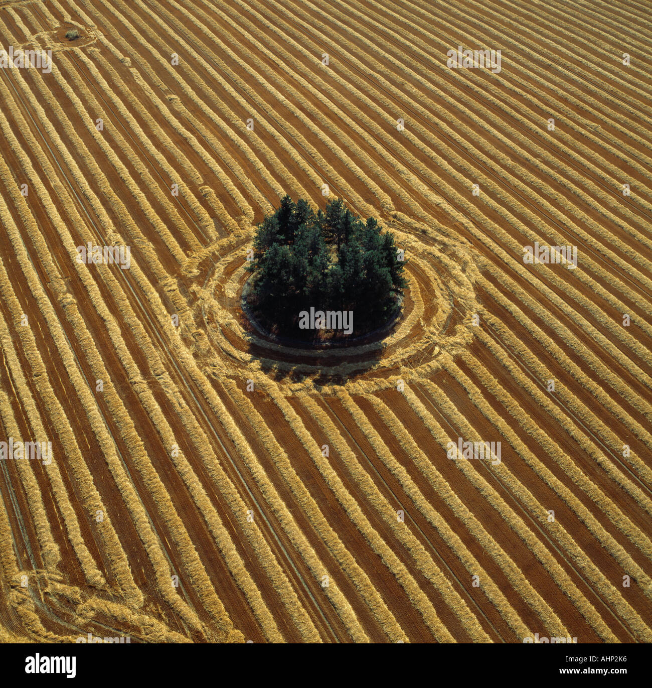 Low field of view hi-res stock photography and images - Alamy
