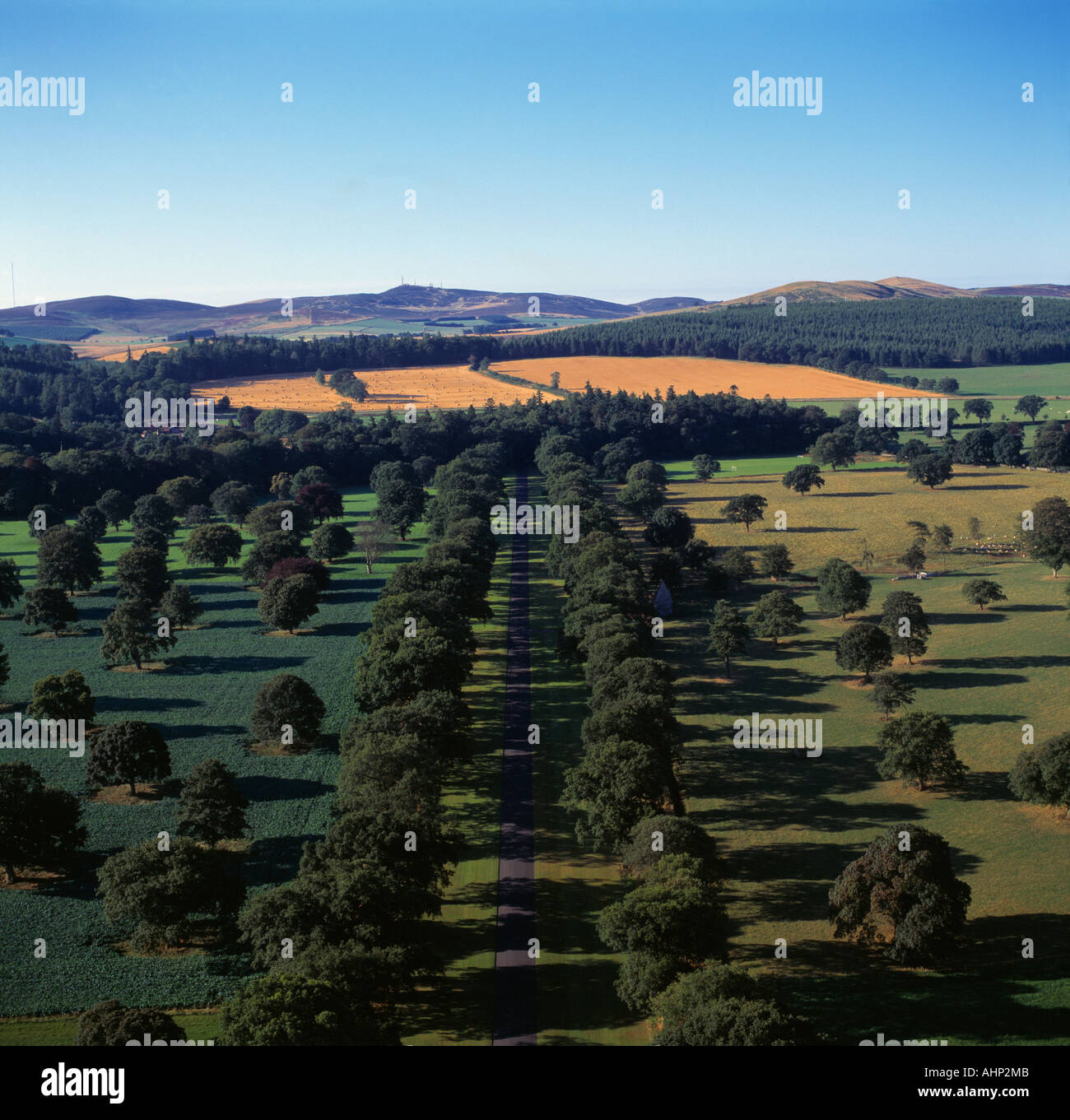 Tree lined ground hi-res stock photography and images - Alamy