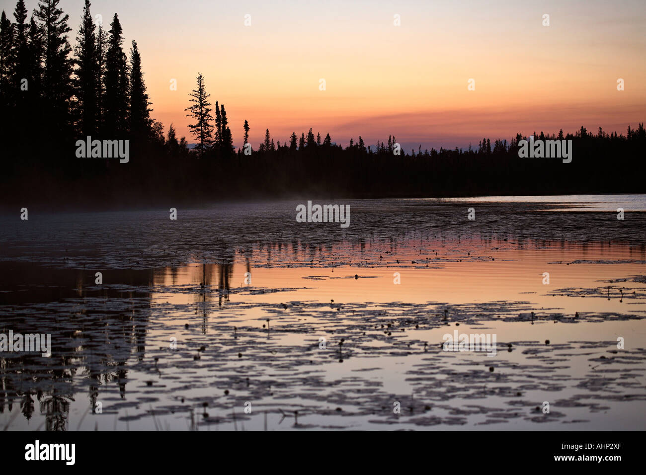 Dawn at Lynx Lake in scenic Northern Saskatchewan Canada Stock Photo - Alamy