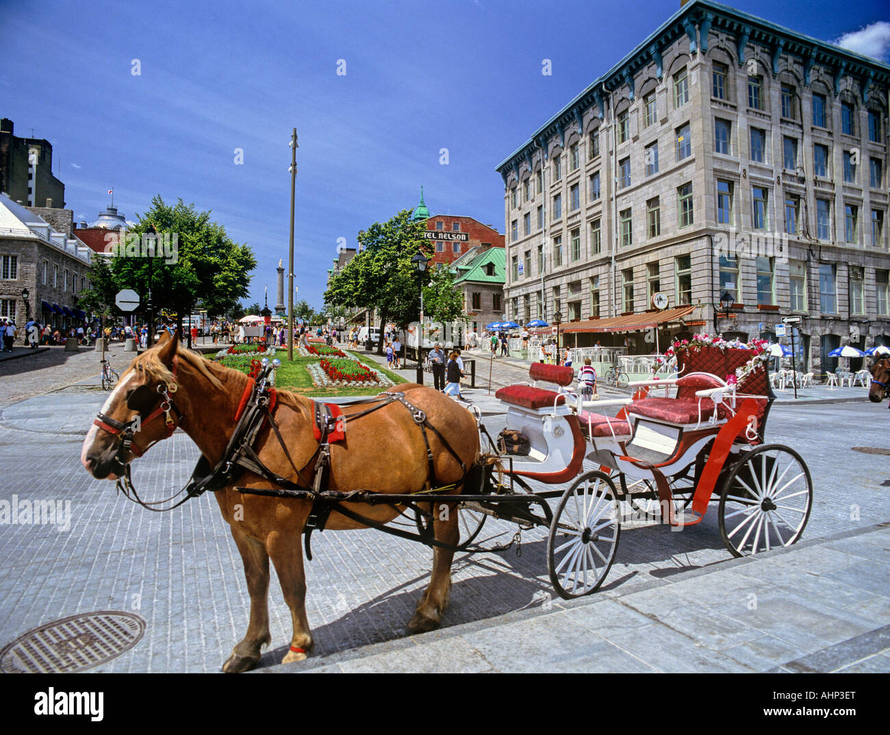 Montreal caleche hi-res stock photography and images - Alamy