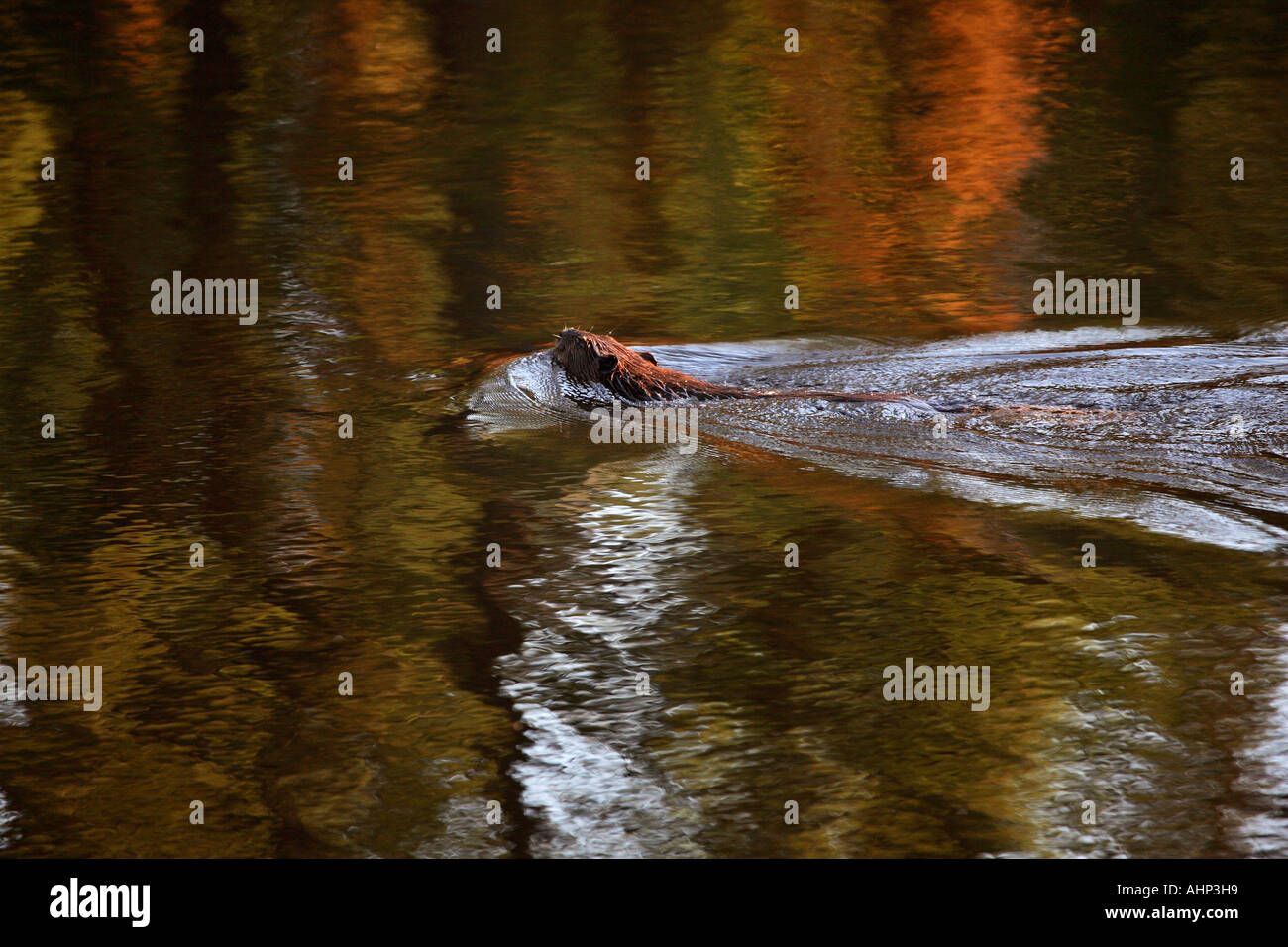 Saskatchewan canada color colour horizontal digital hi-res stock ...