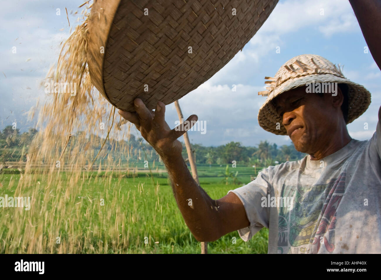 Winnowing Rice High Resolution Stock Photography and Images - Alamy