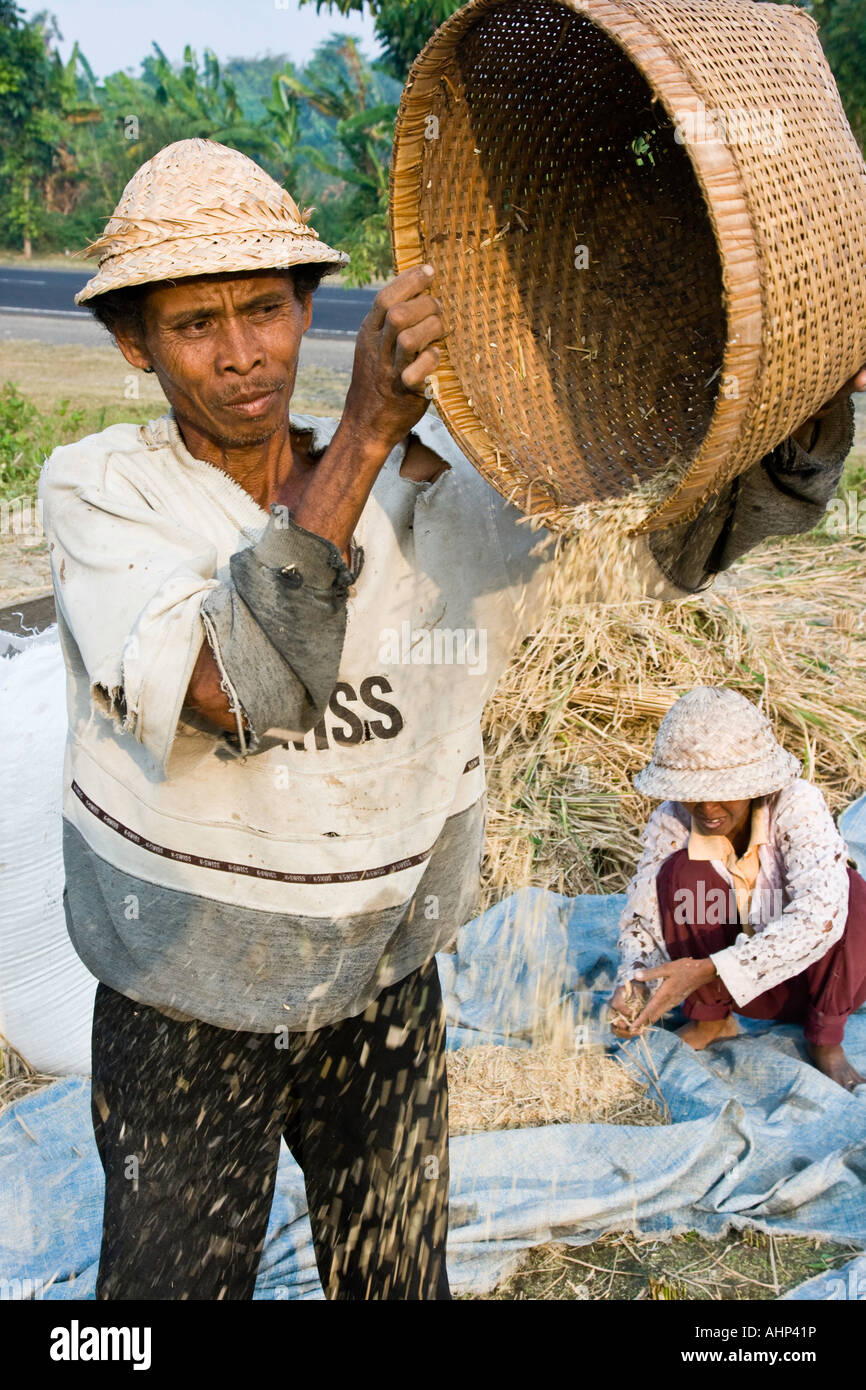 Winnowing hi-res stock photography and images - Alamy