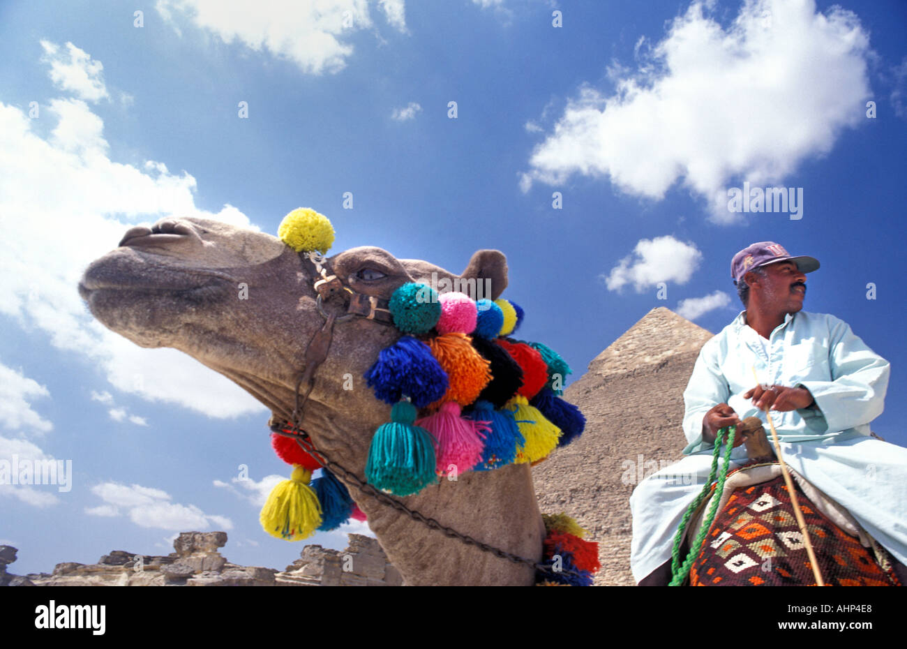 Camel And Khephren Pyramid High Resolution Stock Photography and Images ...