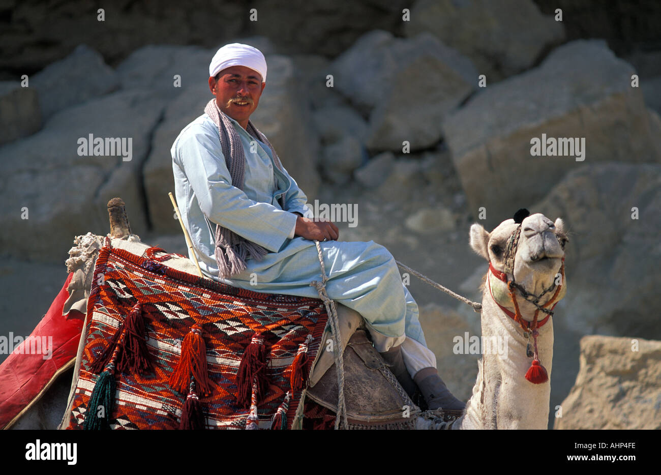 Egyptian camel rider Ornate saddle Great Pyramids Giza Cairo Egypt ...