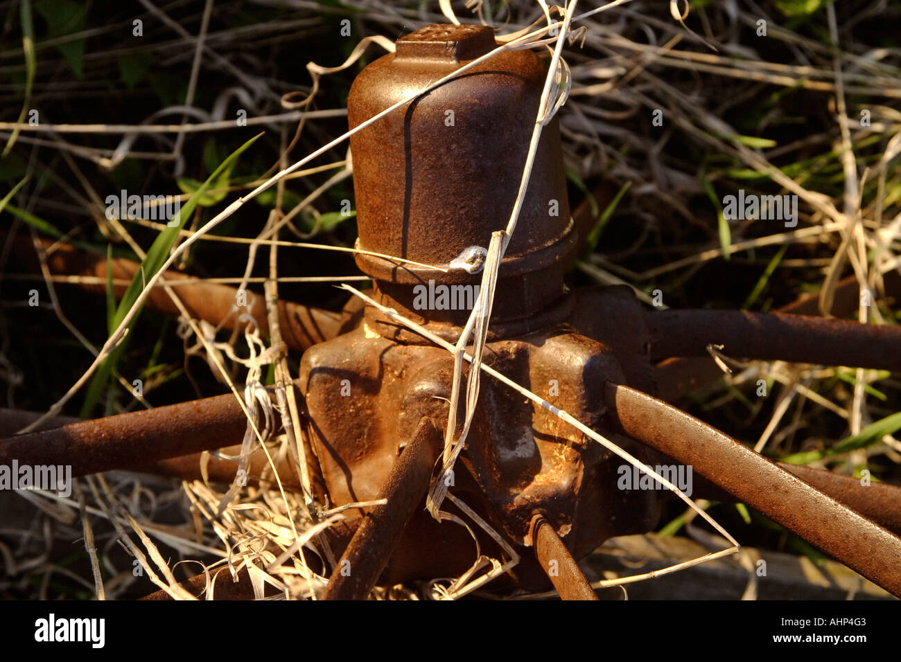 Rusting metal wagon wheel in scenic Saskatchewan Canada Stock Photo - Alamy