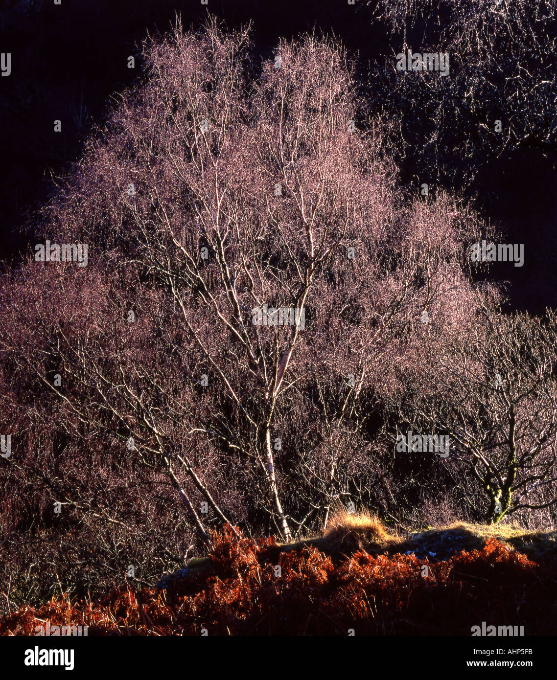 Number 2047 hi-res stock photography and images - Alamy