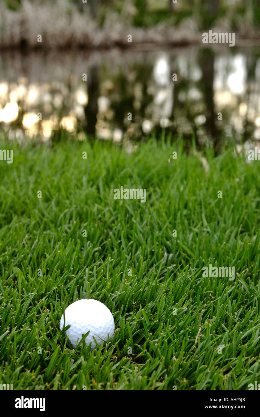 golf ball in rough Stock Photo - Alamy