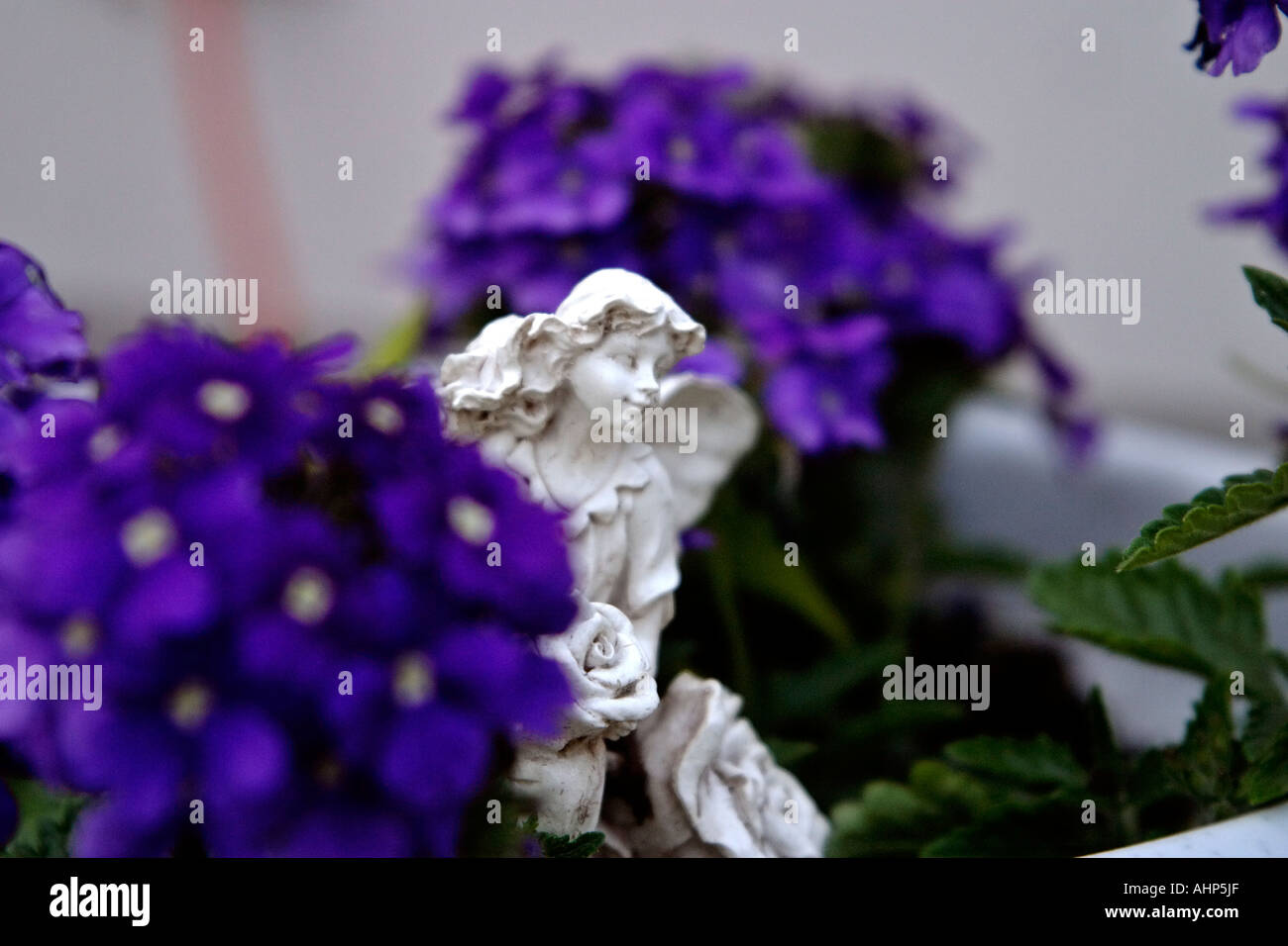 Farrie hi-res stock photography and images - Alamy