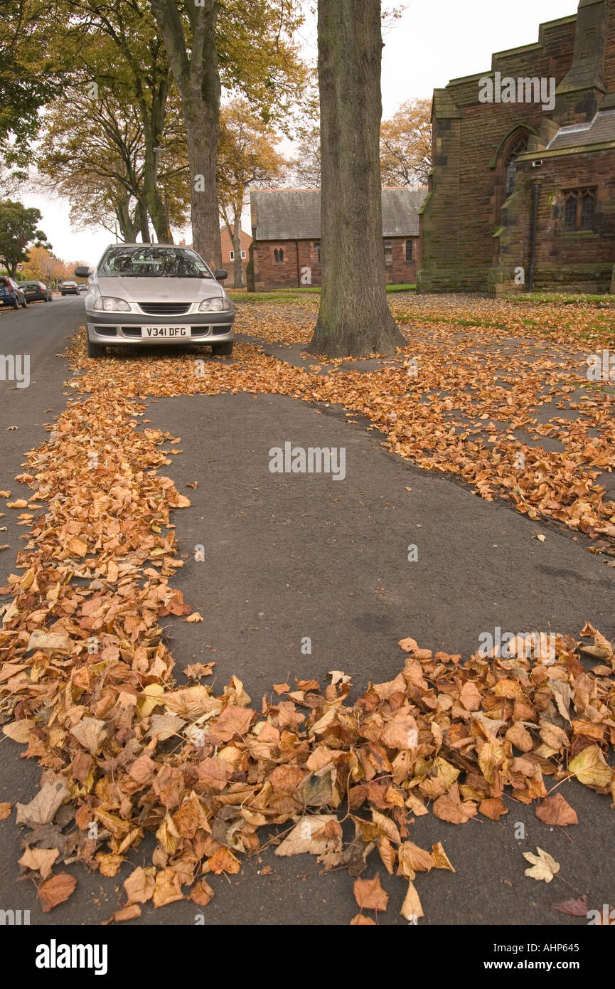 leaves surround where a car was parked Stock Photo - Alamy