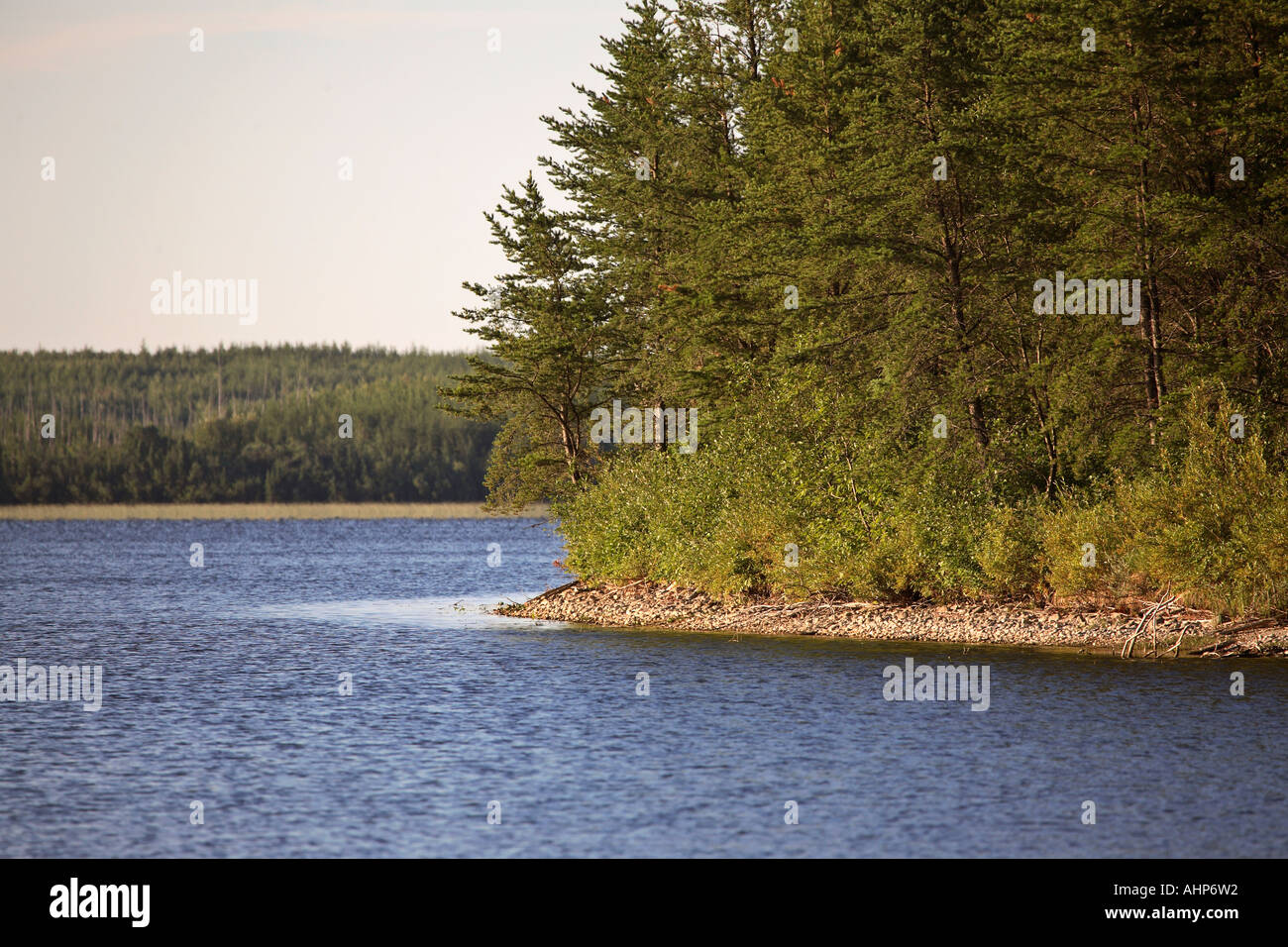 Porcupine provincial forest hi-res stock photography and images - Alamy