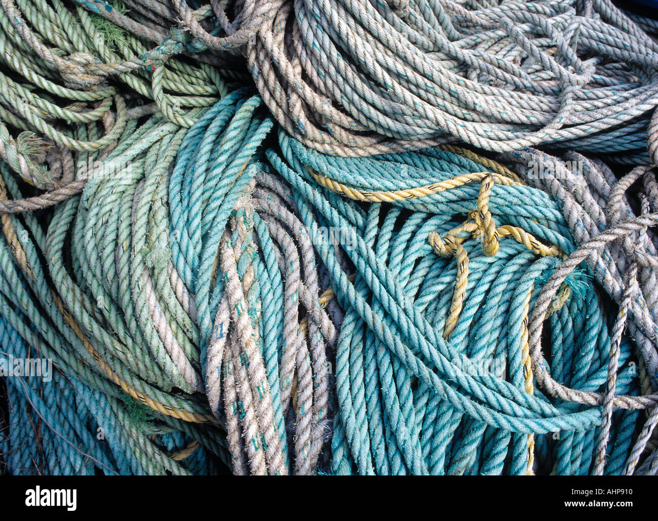 bunch of ropes Stock Photo - Alamy