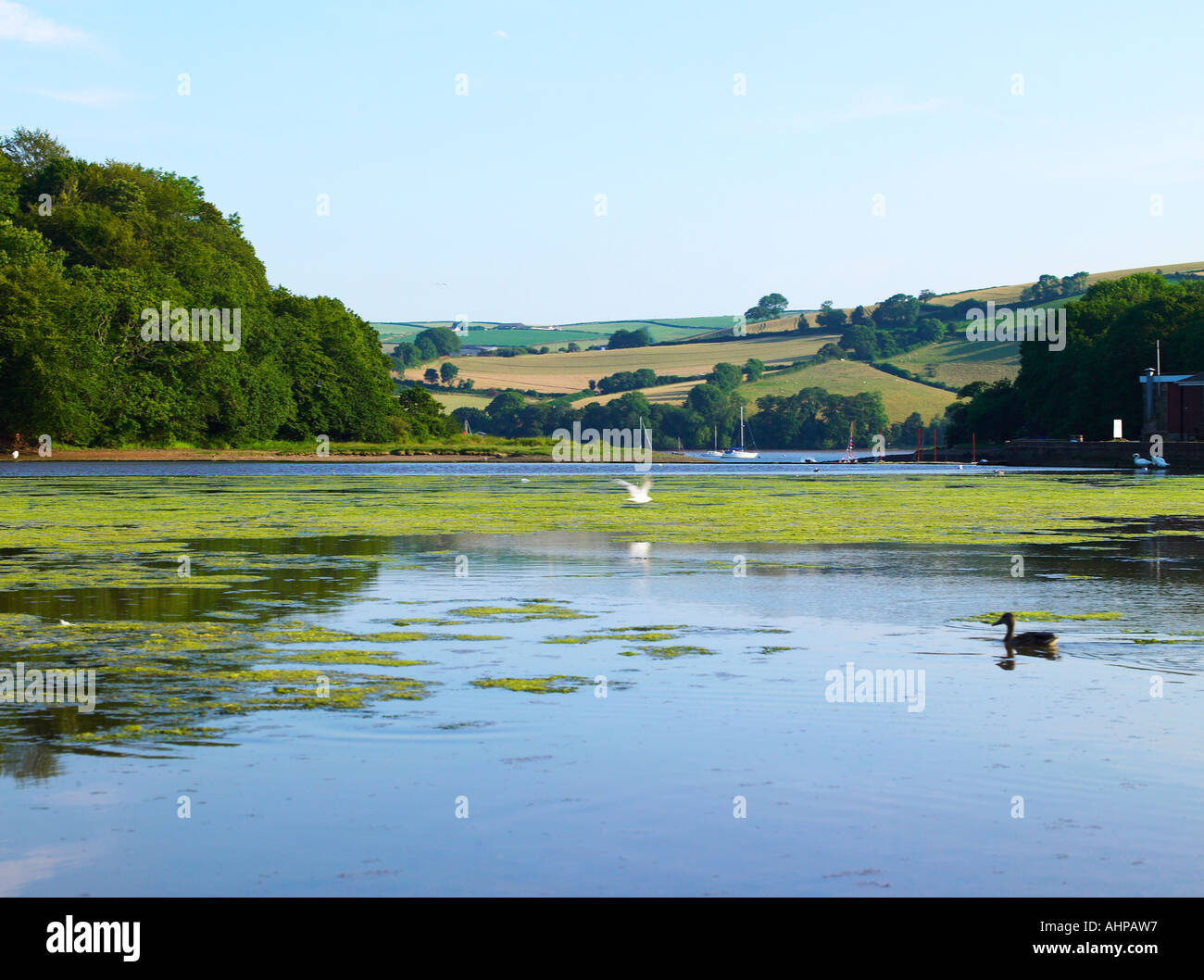 Stoke gabriel devon hi-res stock photography and images - Alamy