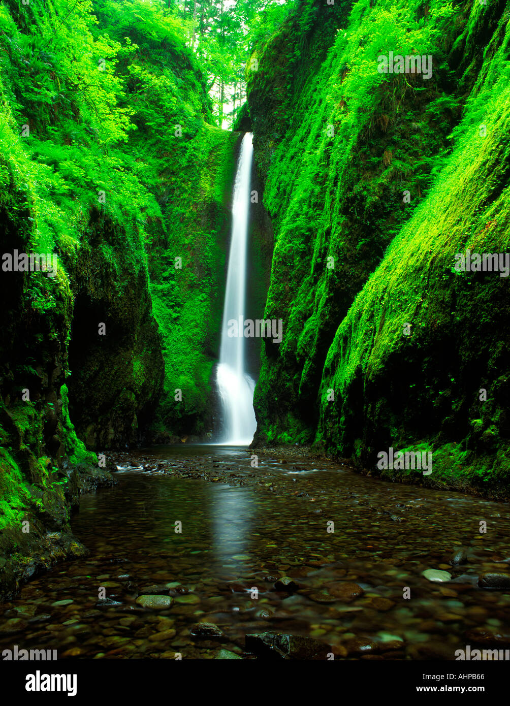 Columdia hi-res stock photography and images - Alamy