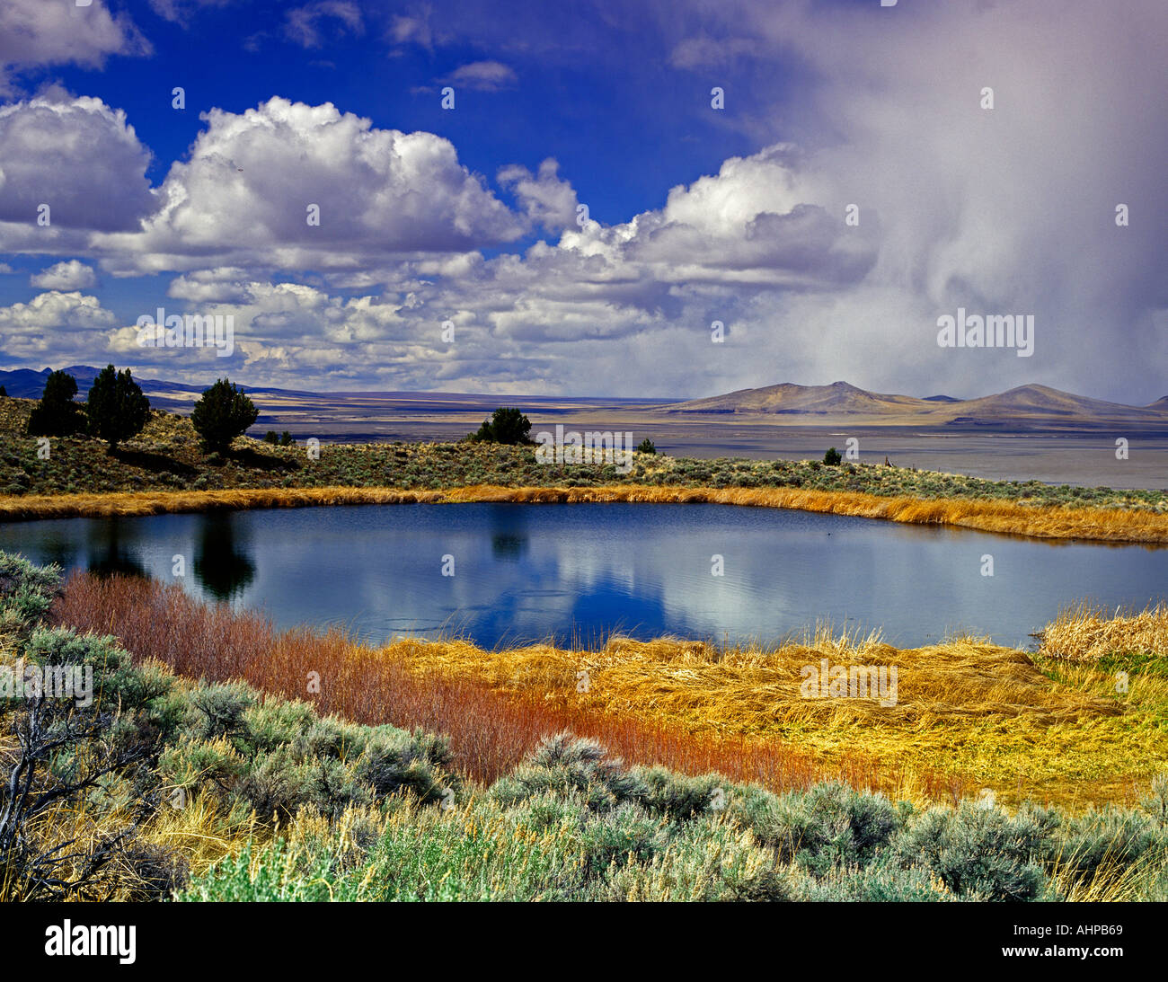M00195M tif Smal pond on Hart Mountain with storm clouds Oregon Stock ...