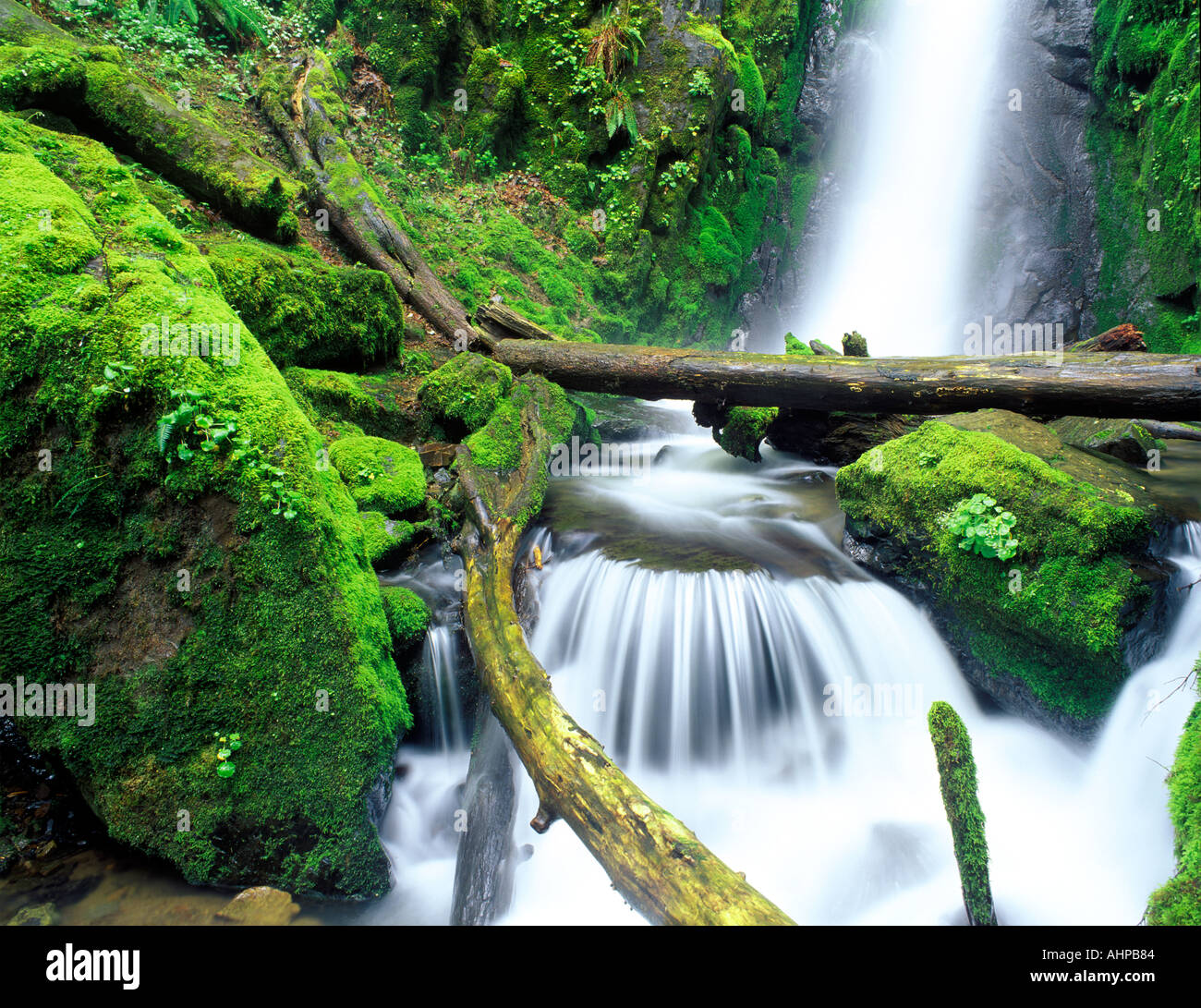 Cascadia state park oregon hi-res stock photography and images - Alamy