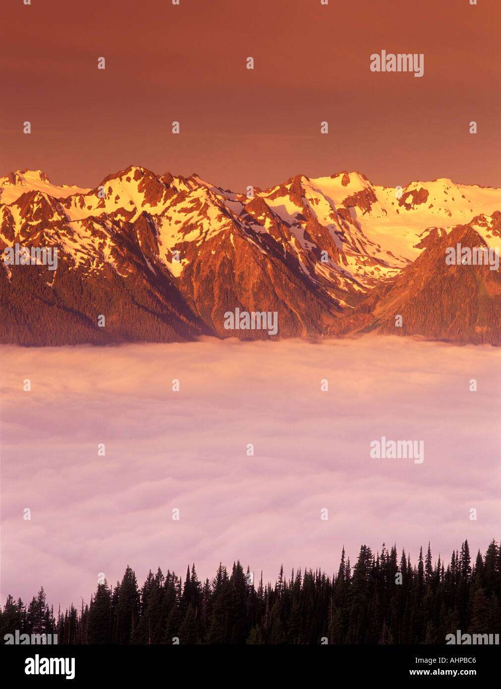 Mount olympus washington hi-res stock photography and images - Alamy