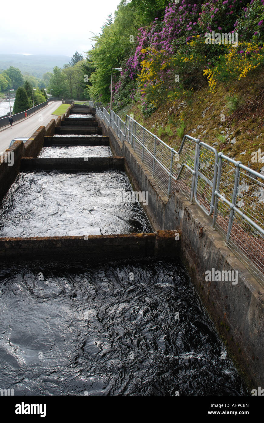 Fishladder at Pitlochry, Scotland Stock Photo - Alamy