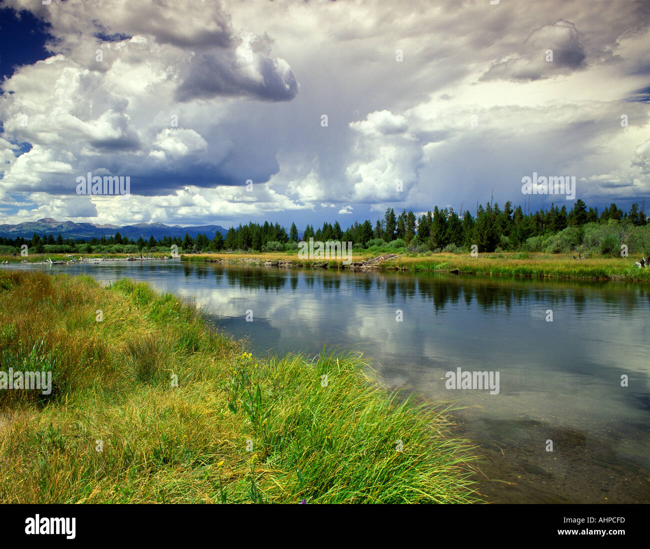 The madison river hi-res stock photography and images - Alamy