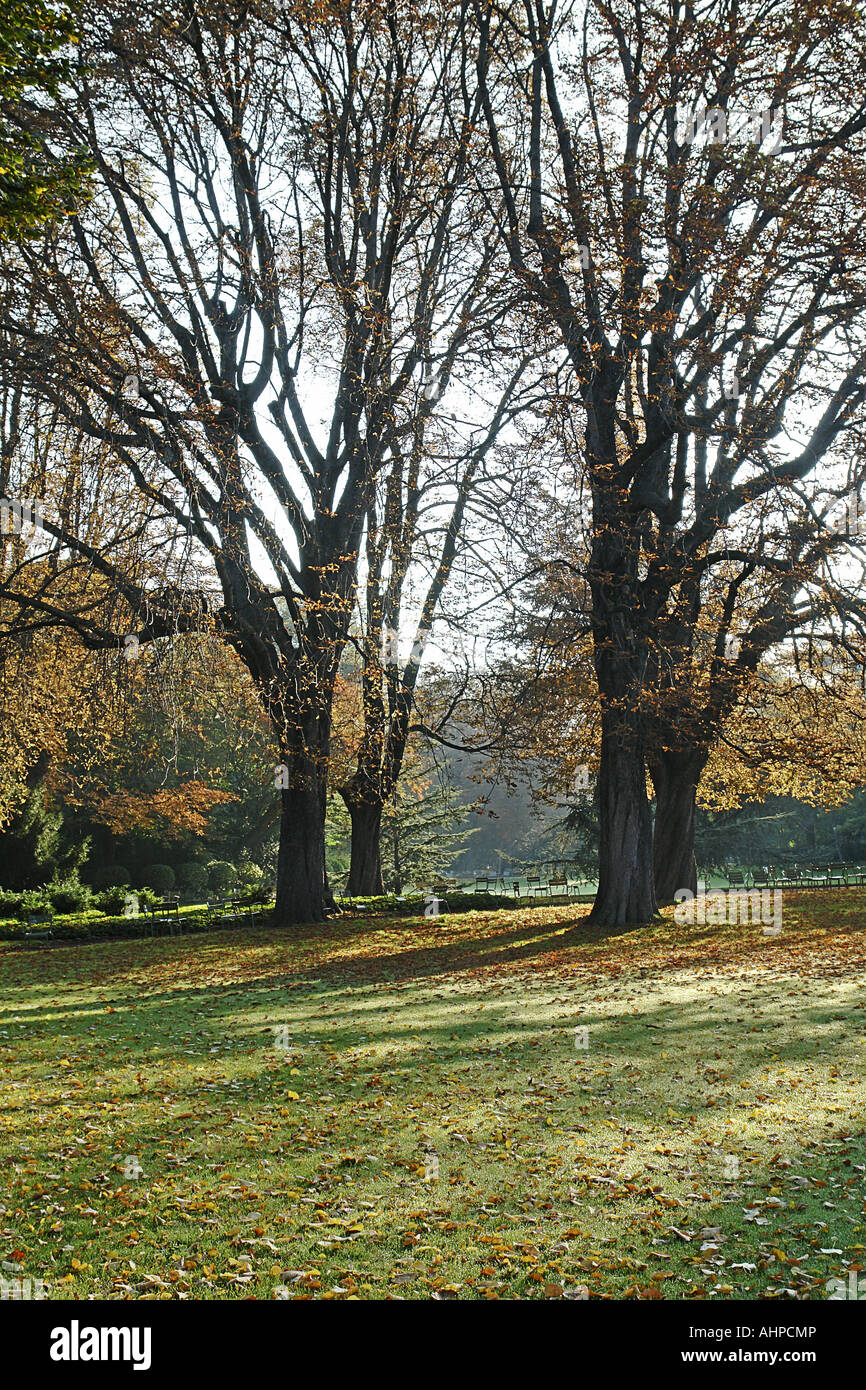 The fall of france hi-res stock photography and images - Alamy