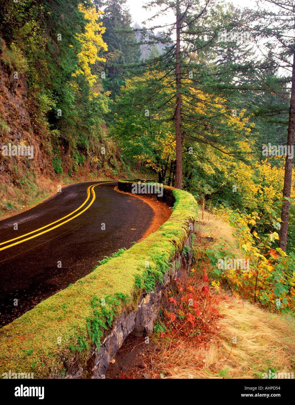 Columbia River Gorge highway with moss covered stone wall and fall ...