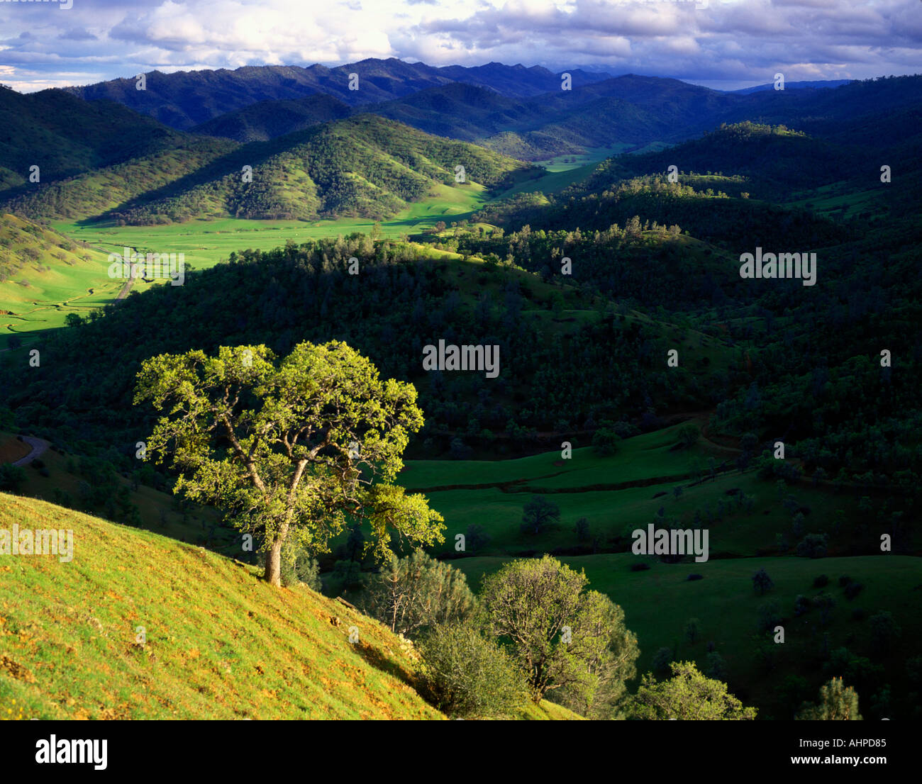 Hills near Bear Valley Colusa County California Stock Photo - Alamy