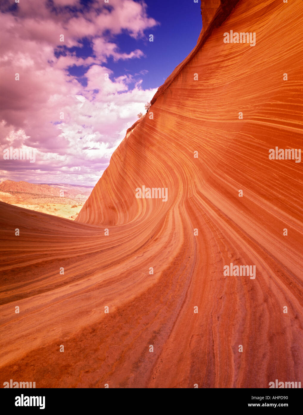 The Wave with clouds Vermillion Cliffs Wilderness Utah Arizona Stock ...