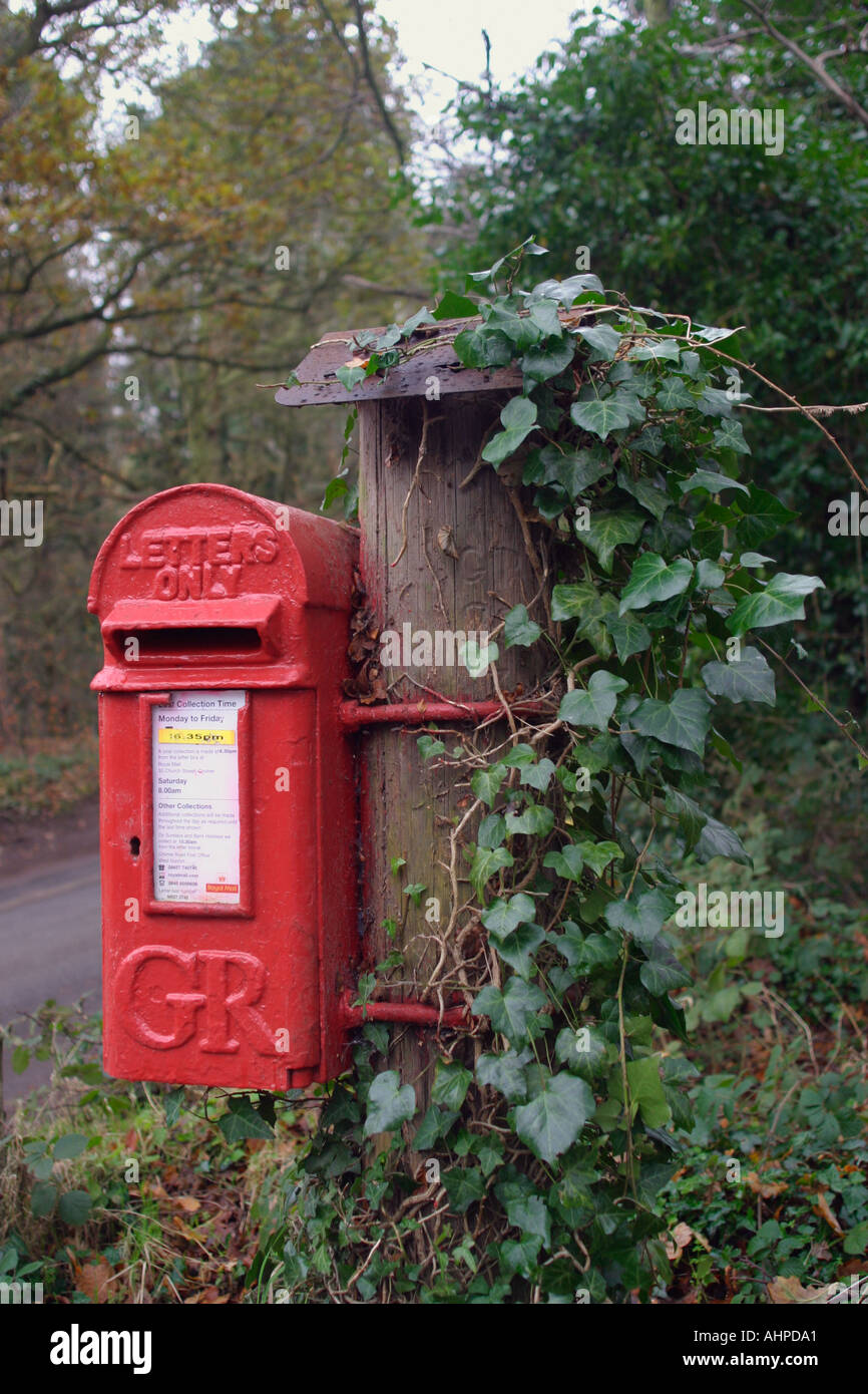 Only ivy leaves hi-res stock photography and images - Alamy