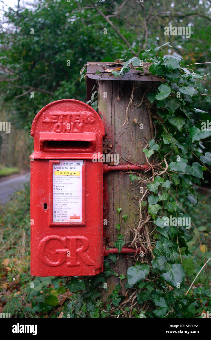 Ivy leaves only hi-res stock photography and images - Alamy