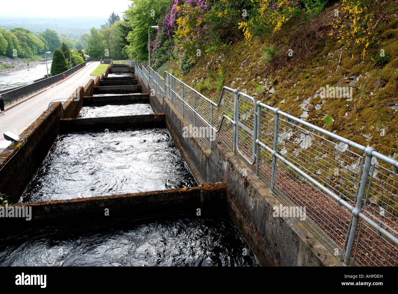 Fishladder hi-res stock photography and images - Alamy