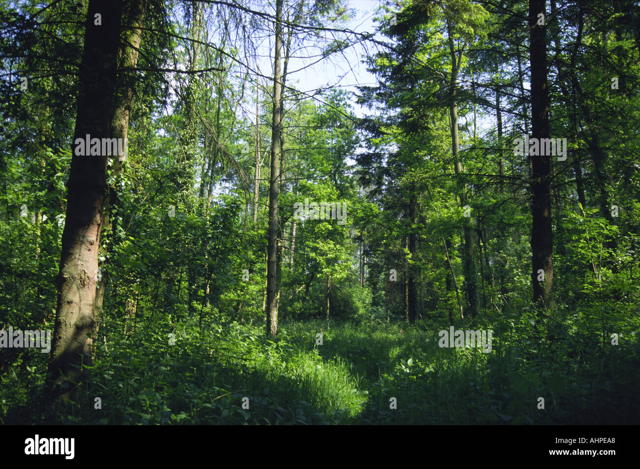 Combrook hi-res stock photography and images - Alamy