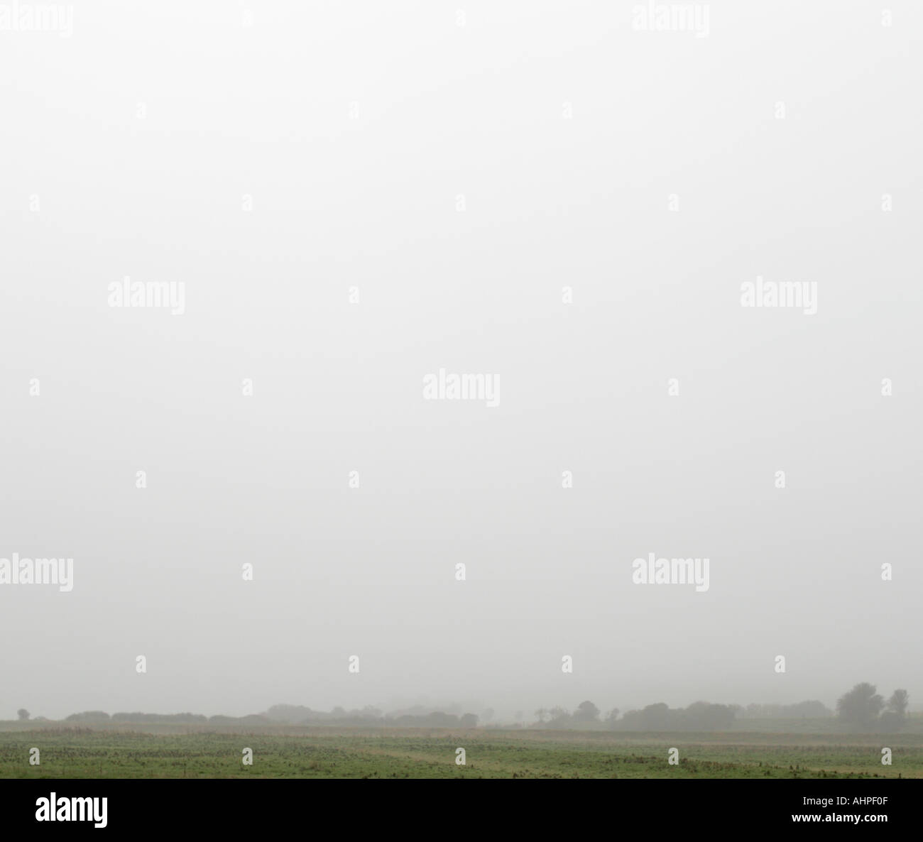 Winter countryside fog scene Stock Photo - Alamy