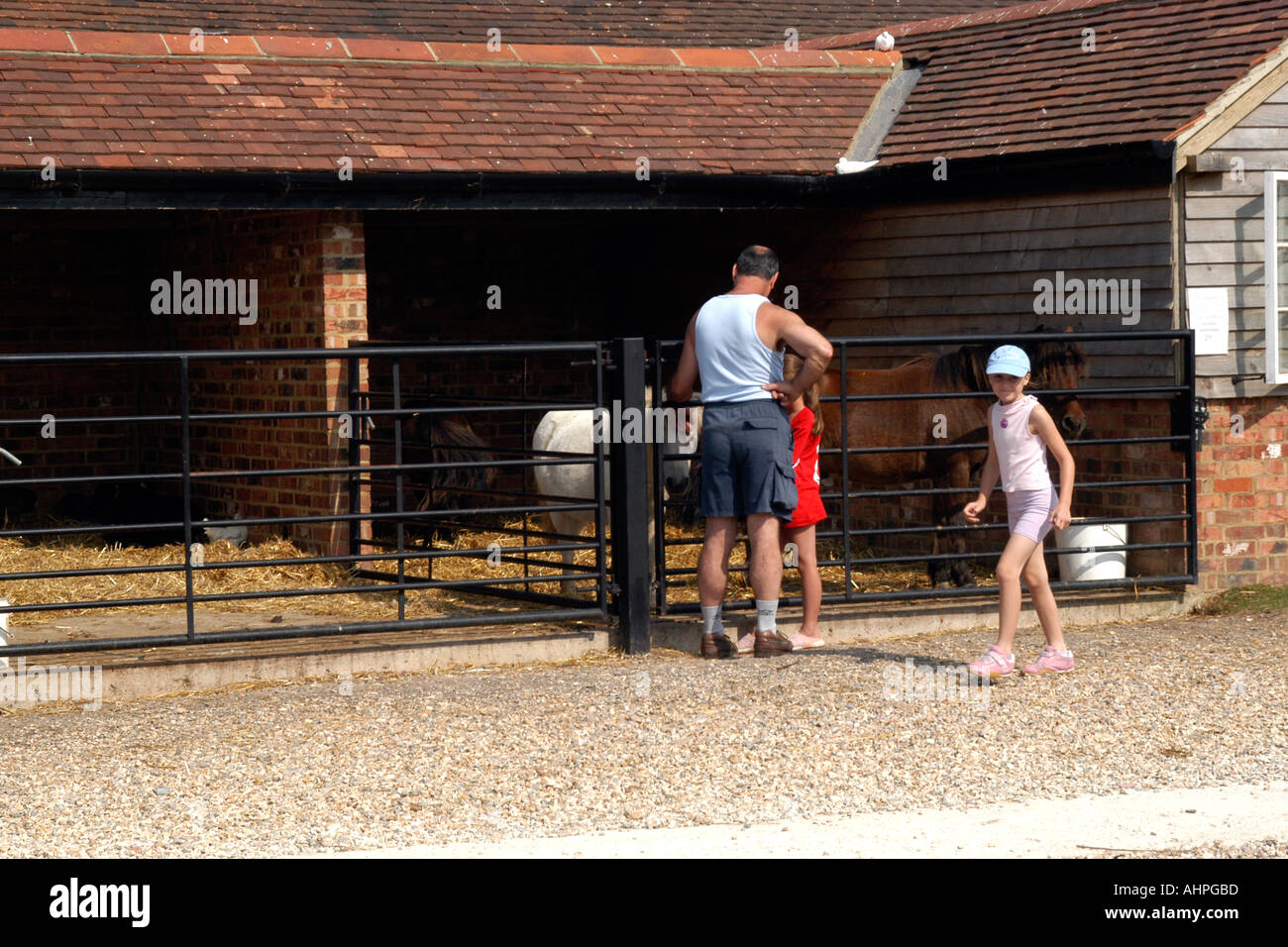 Children Feeding the animals at a petting farm Stock Photo - Alamy