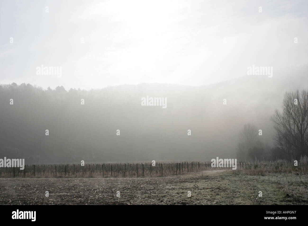 On bright winter morning hi-res stock photography and images - Alamy