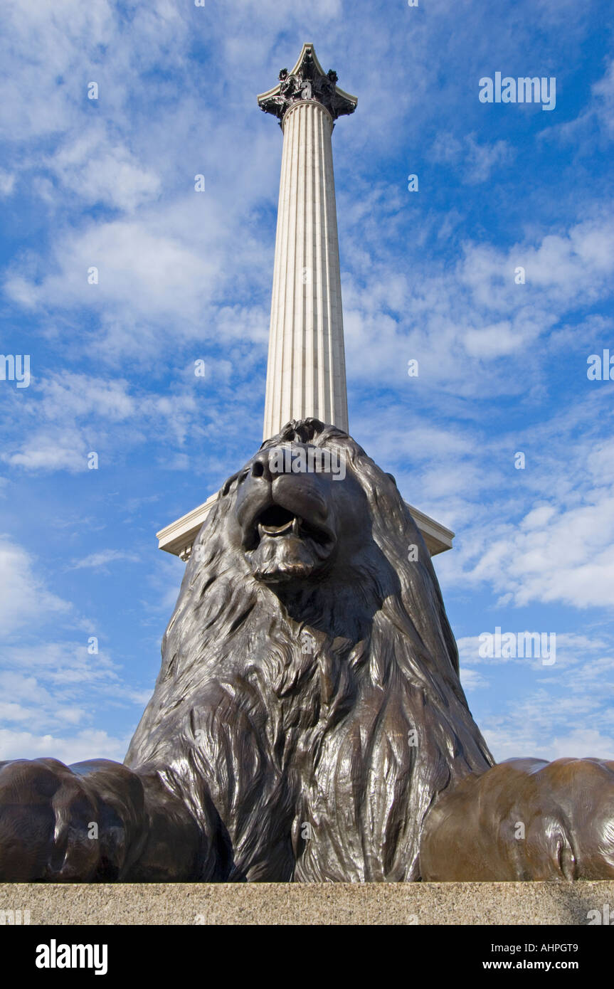 Bronze Lion Base Nelsons Column High Resolution Stock Photography and ...